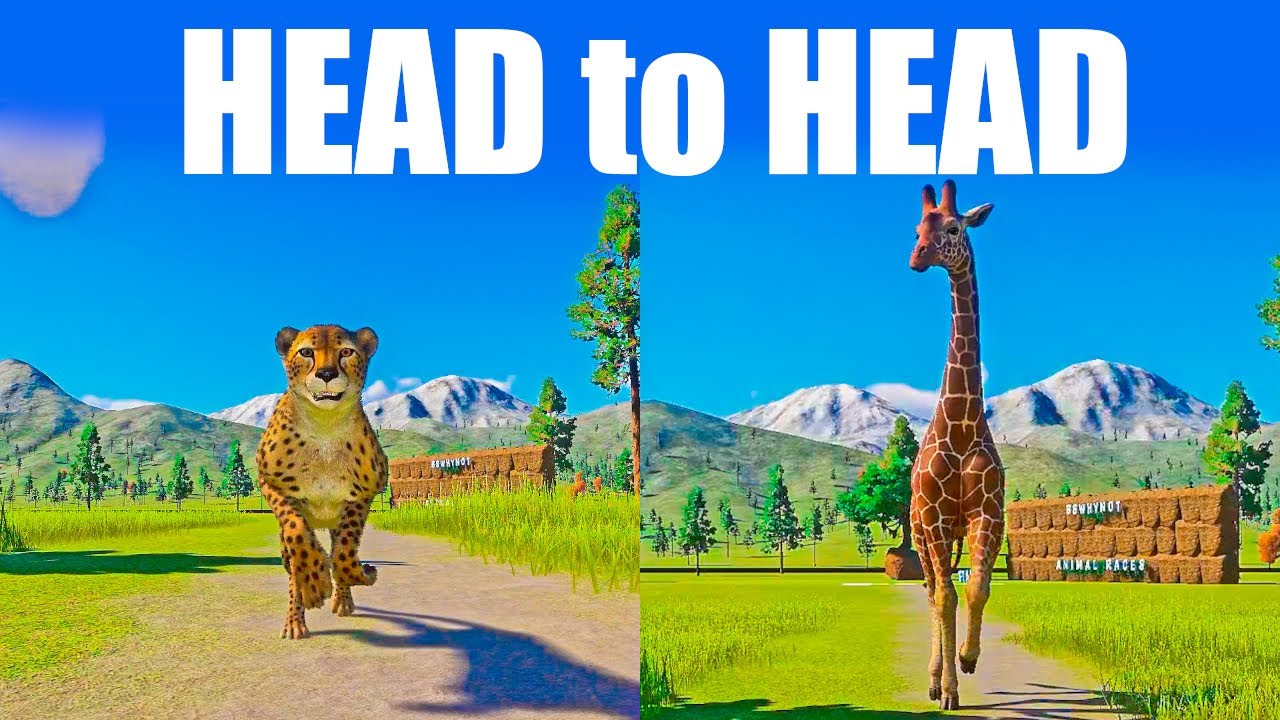 Cheetah vs Giraffe a Head to Head Speed Race in Planet Zoo - YouTube