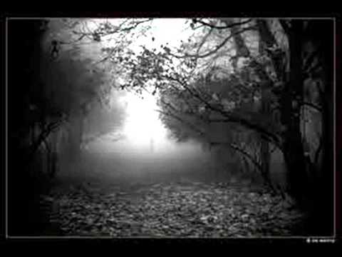 Arayış.wmv