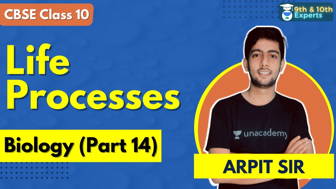 Class 10 Life Processes Part 14 Biology Unacademy 9th 10th class-10-life-processes-part-14-biology-unacademy-9th-10th