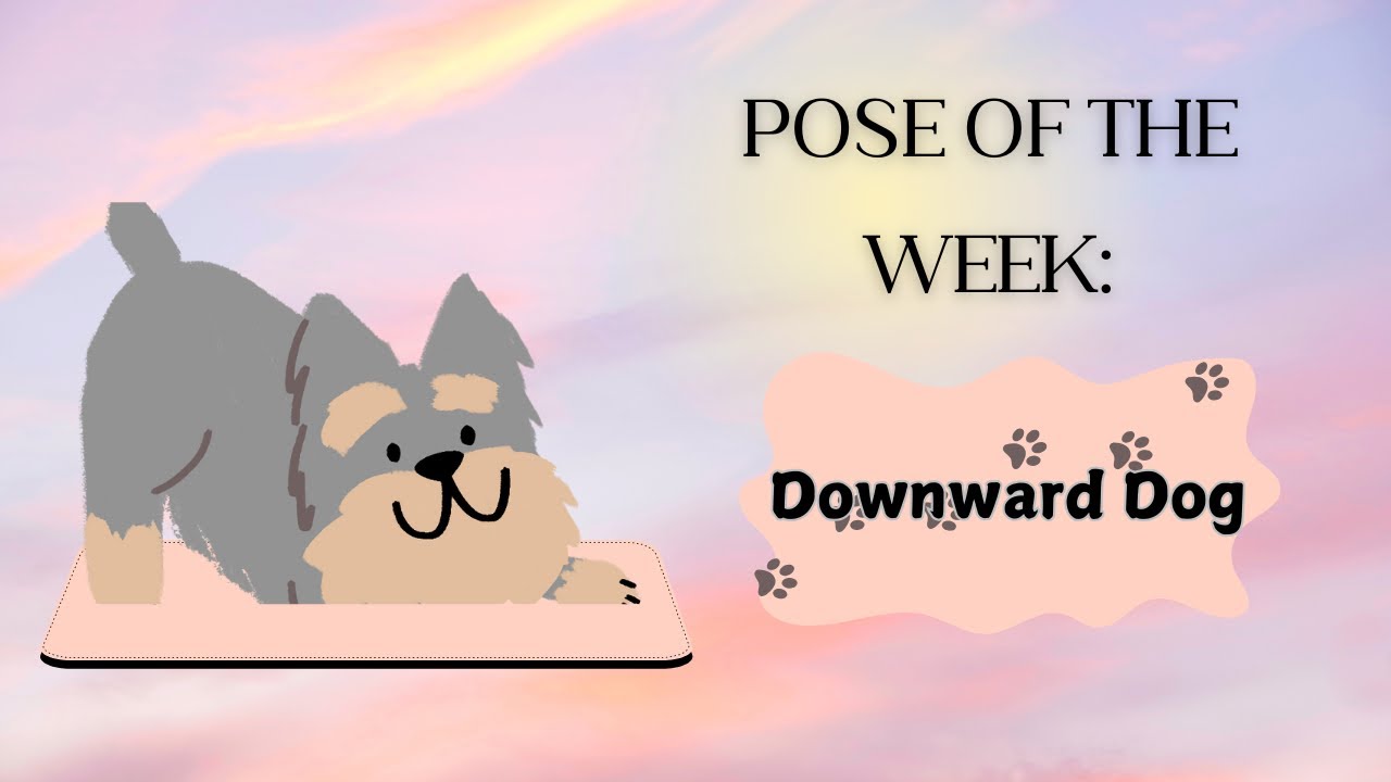 Downward Dog | Step-by-Step Yoga Pose Tutorial 🧘‍♀️ - YouTube