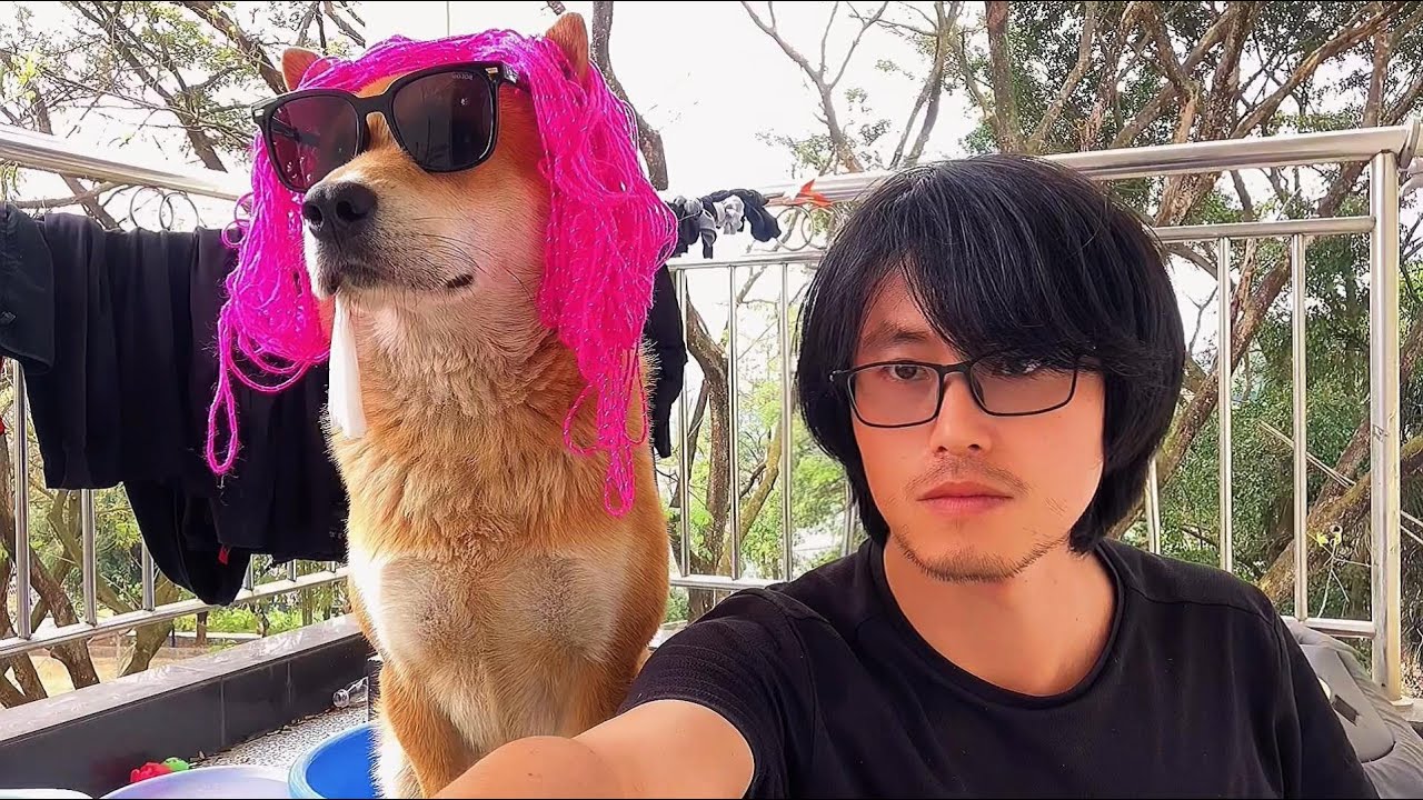 See how Yellow Nine works | Multi angle（7/3/2022） | Yellow Nine ...