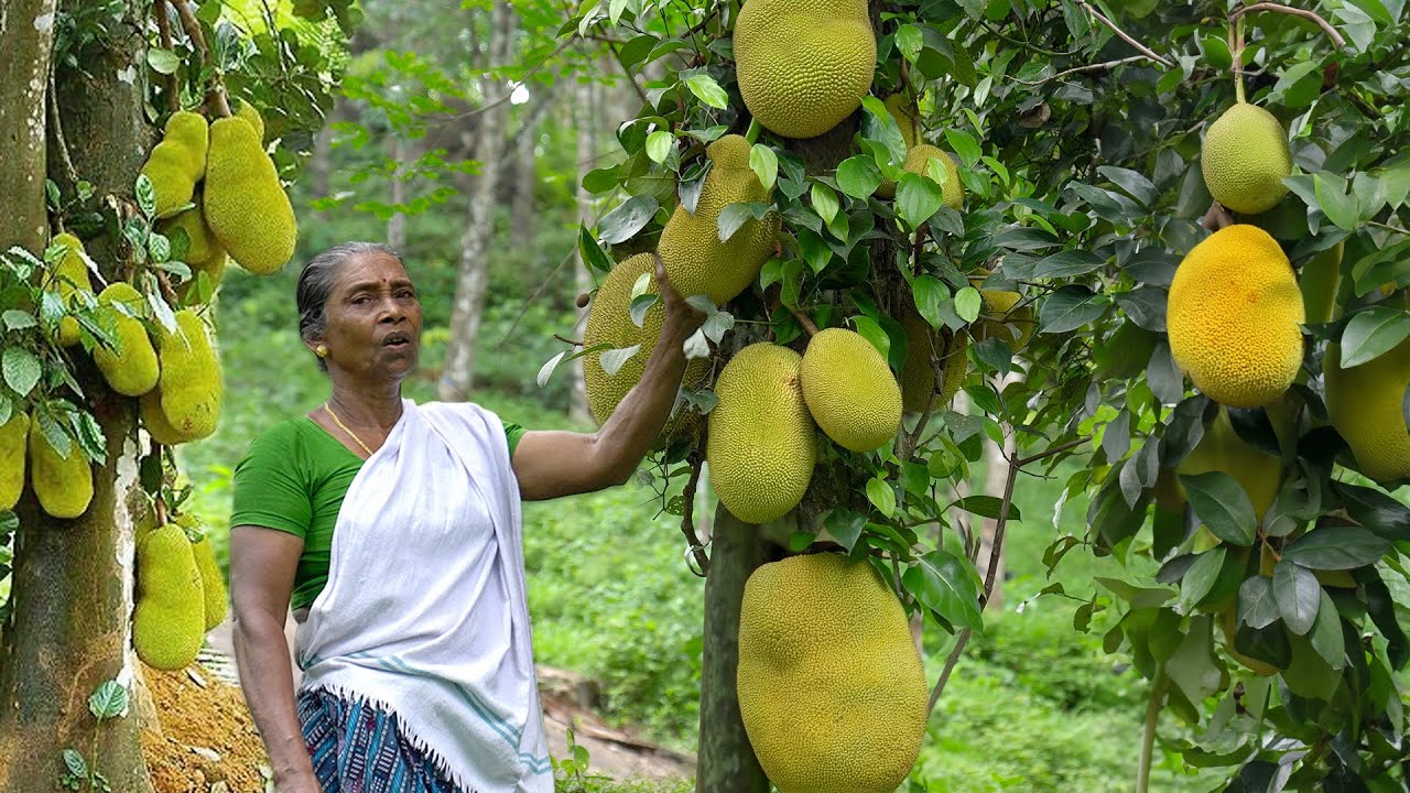 Kerala Style Jack fruit Core Coconut Stir Fry - YouTube