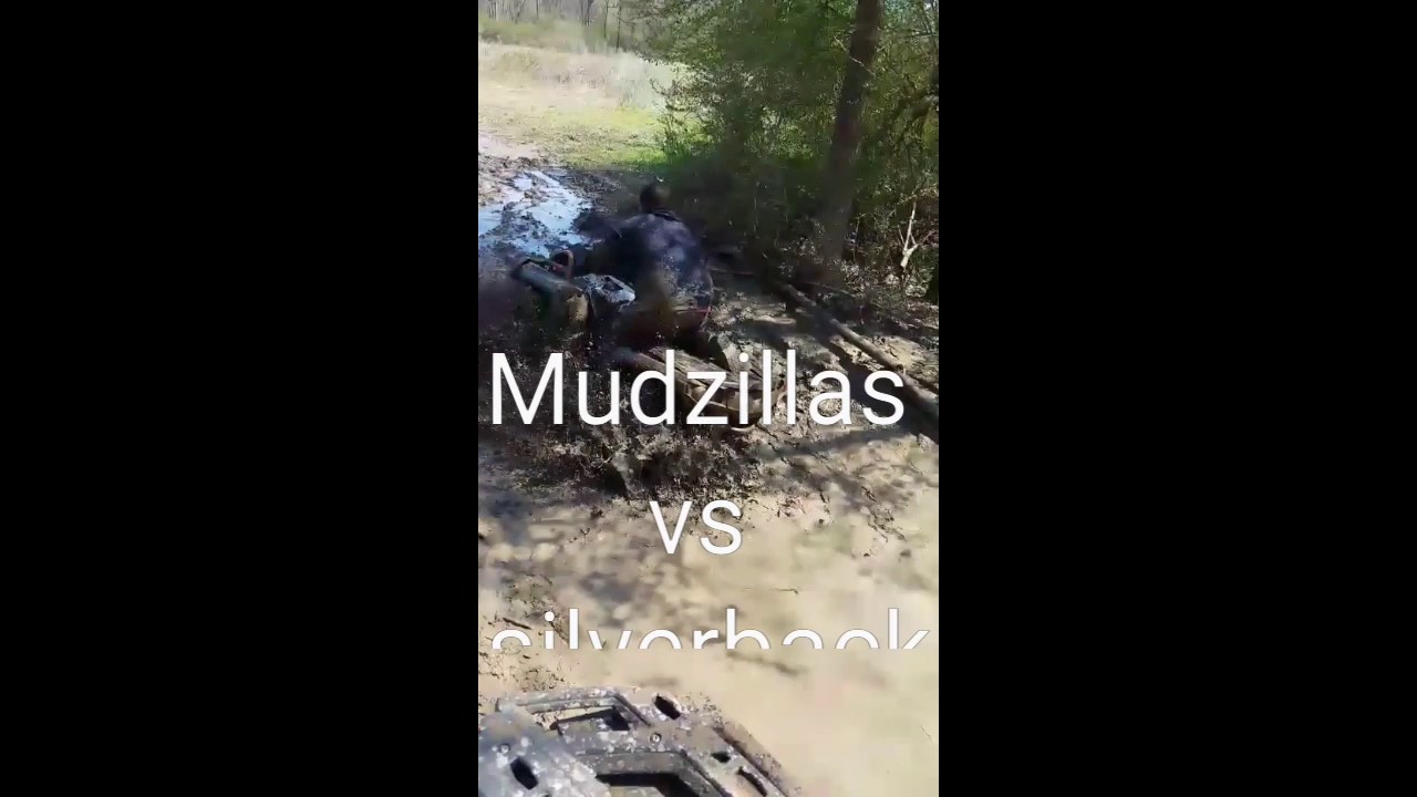 Mudzillas vs Silverbacks - YouTube