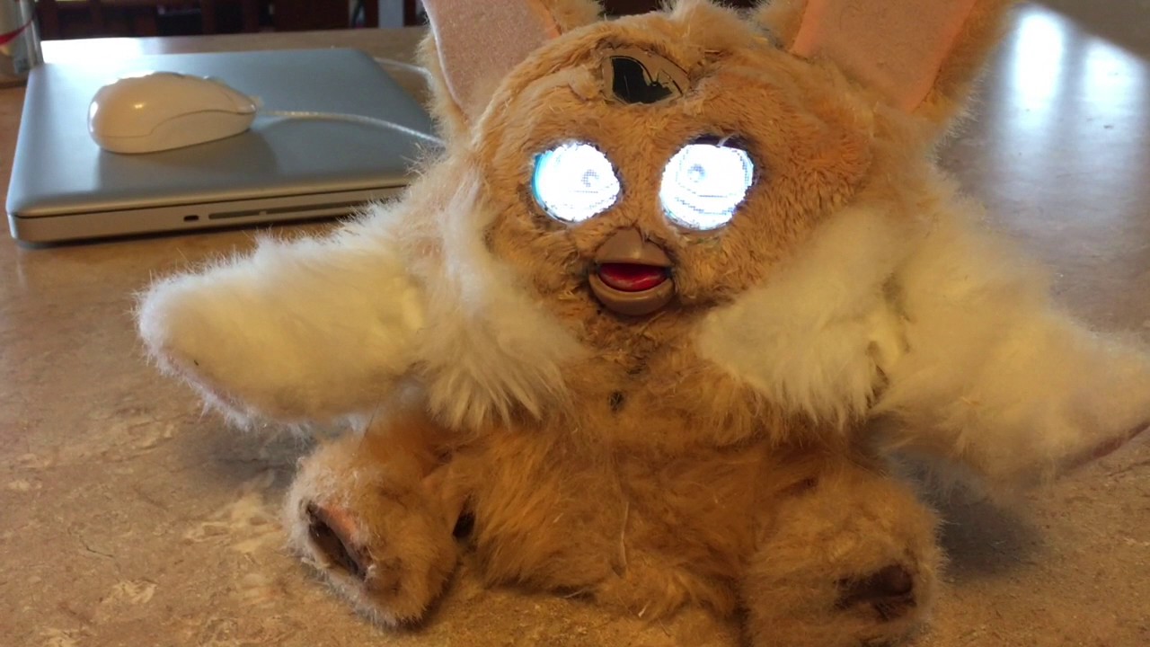 Custom Gizmo Furby Changes into rude hilarious boy - YouTube