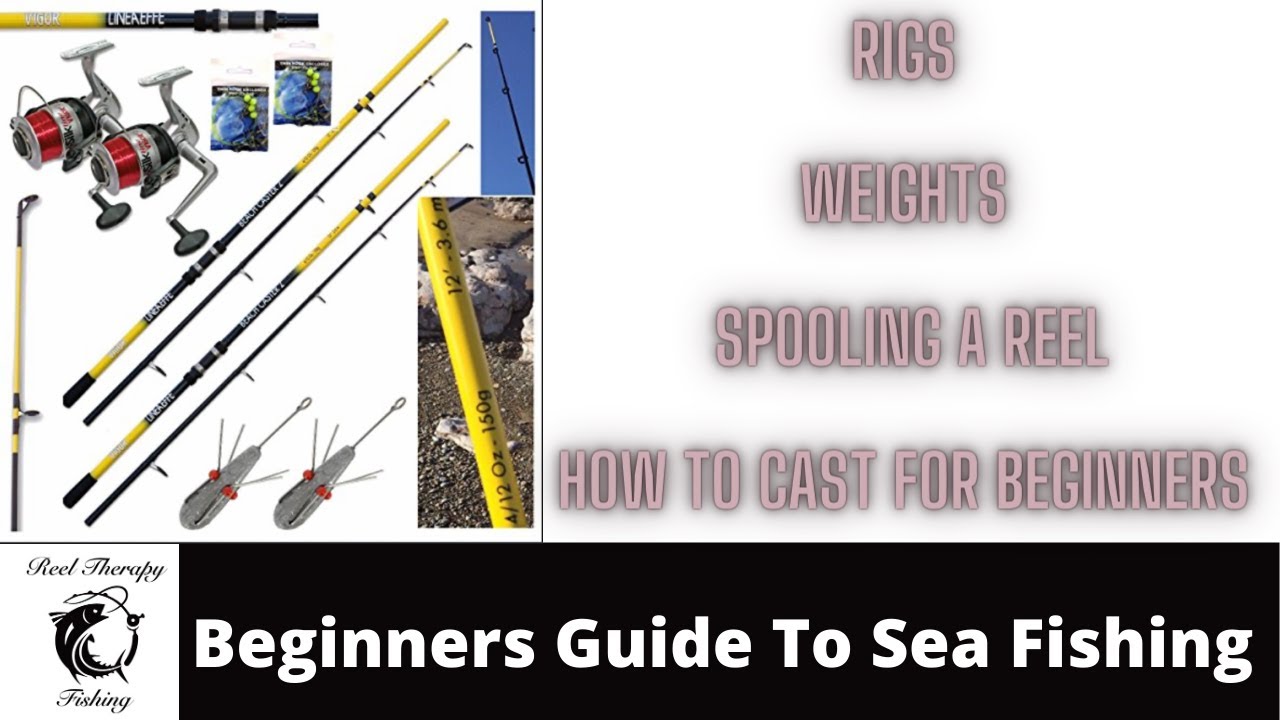 Beginners Guide To Sea Fishing| tips and tricks | How We Fish | Beach ...