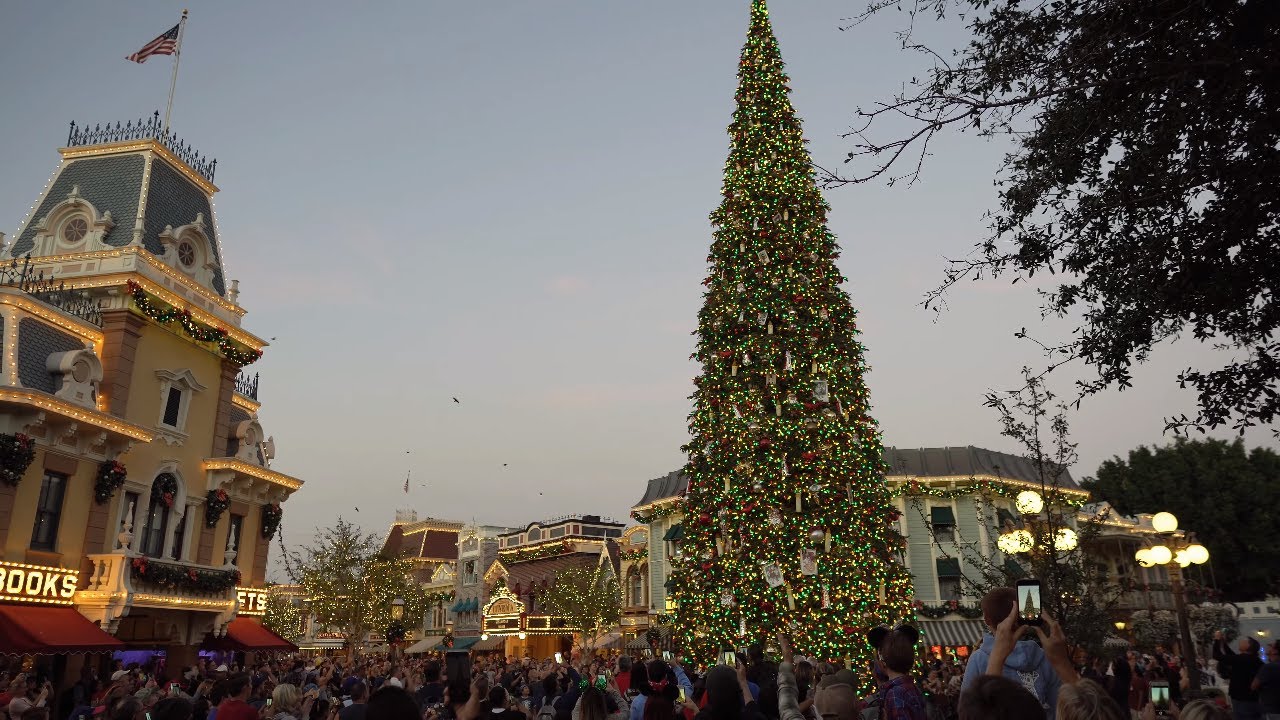 Disneyland Christmas Tree Lighting on Main St / 12 days of Christmas ...
