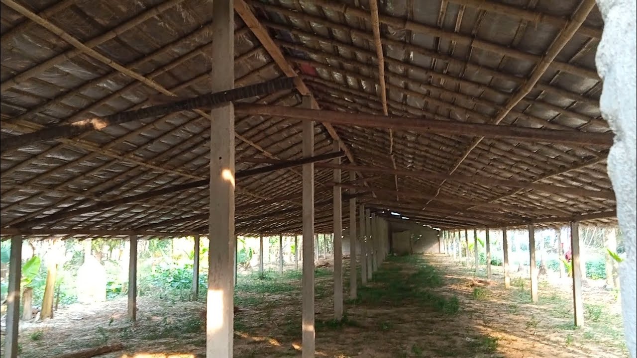 full farm making // full video watch now 🙏 // keshab poultry farm - YouTube