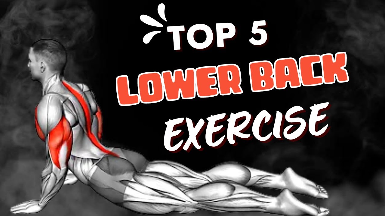 5 Best Exercises for Lower Back -- Wild Fire Fitness - YouTube