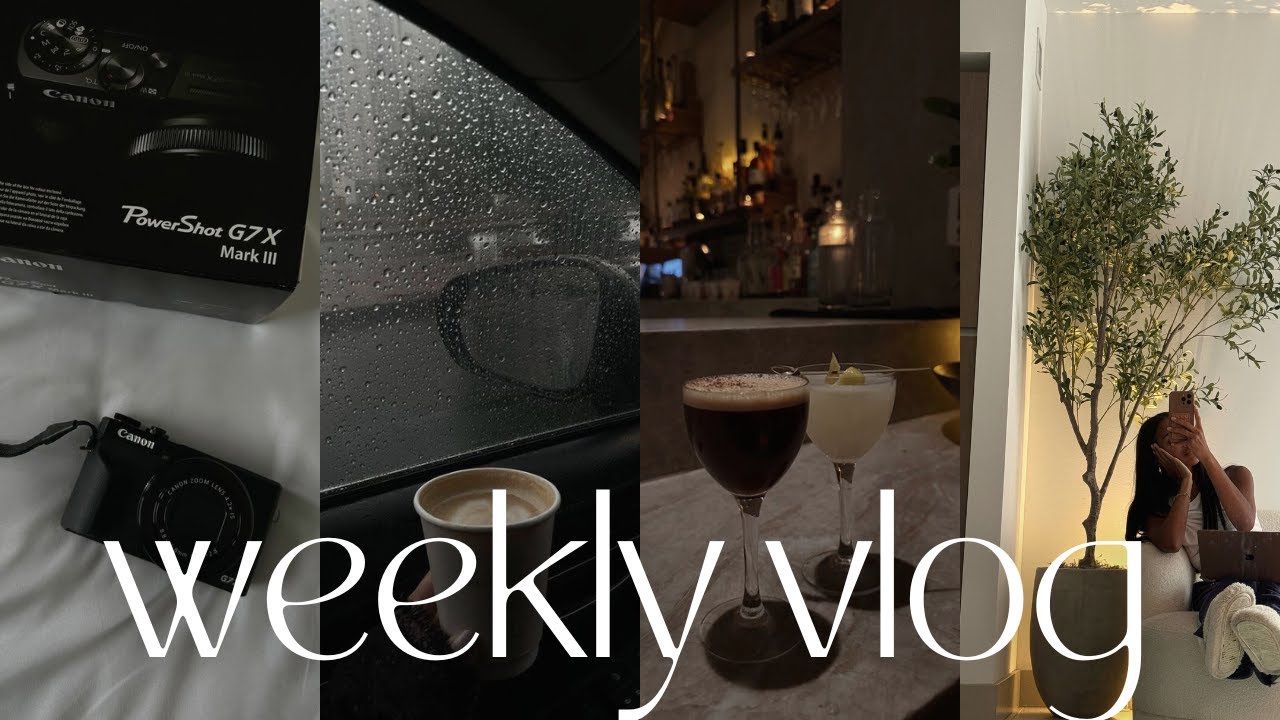 Living single in miami| new olive tree, best camera on the market ...