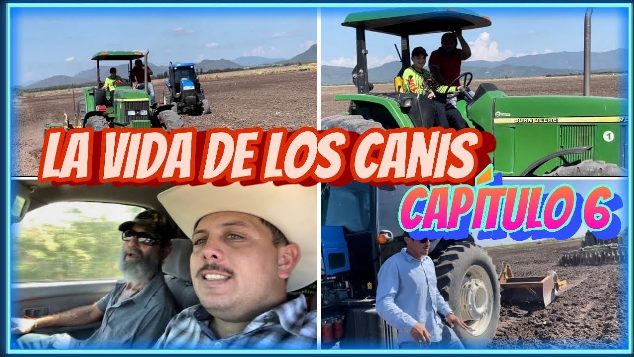 LA VIDA DE LOS (CANIS) 🧑‍🌾capitulo 6 MI HIJO DE 12 años ya anda ...