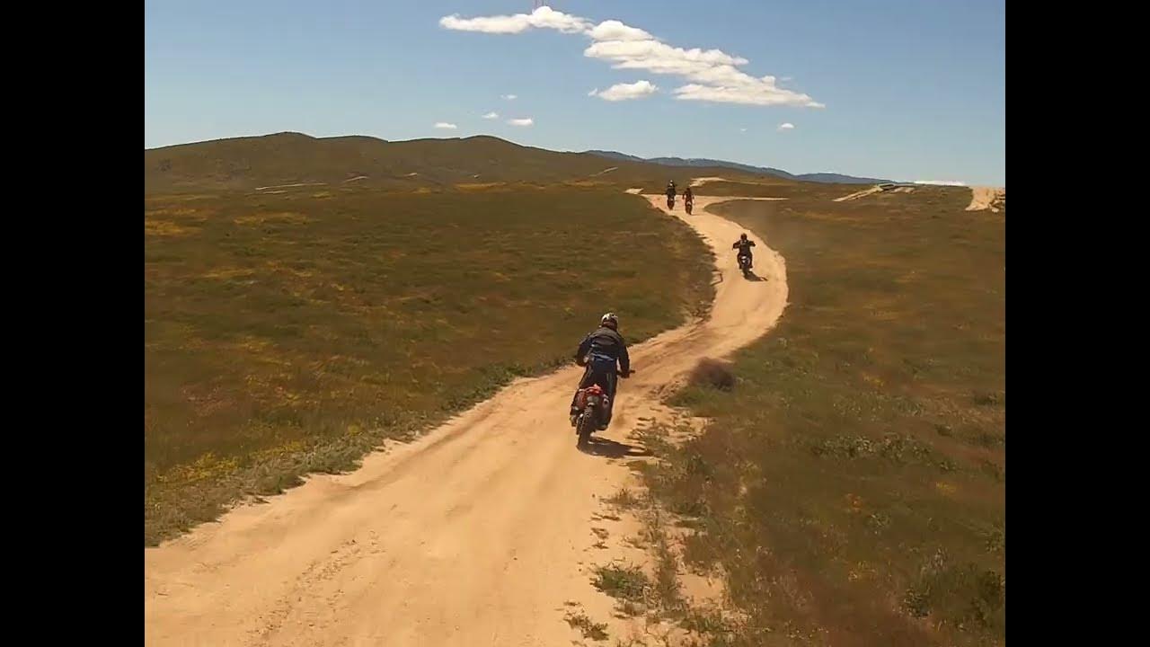 Lost Coyotes MC - Antelope Valley Wild Flower Dual Sport Ride 2024 ...