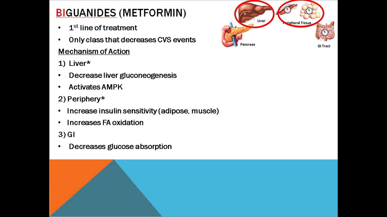 Type II Diabetes Mellitus Pharmacology - YouTube