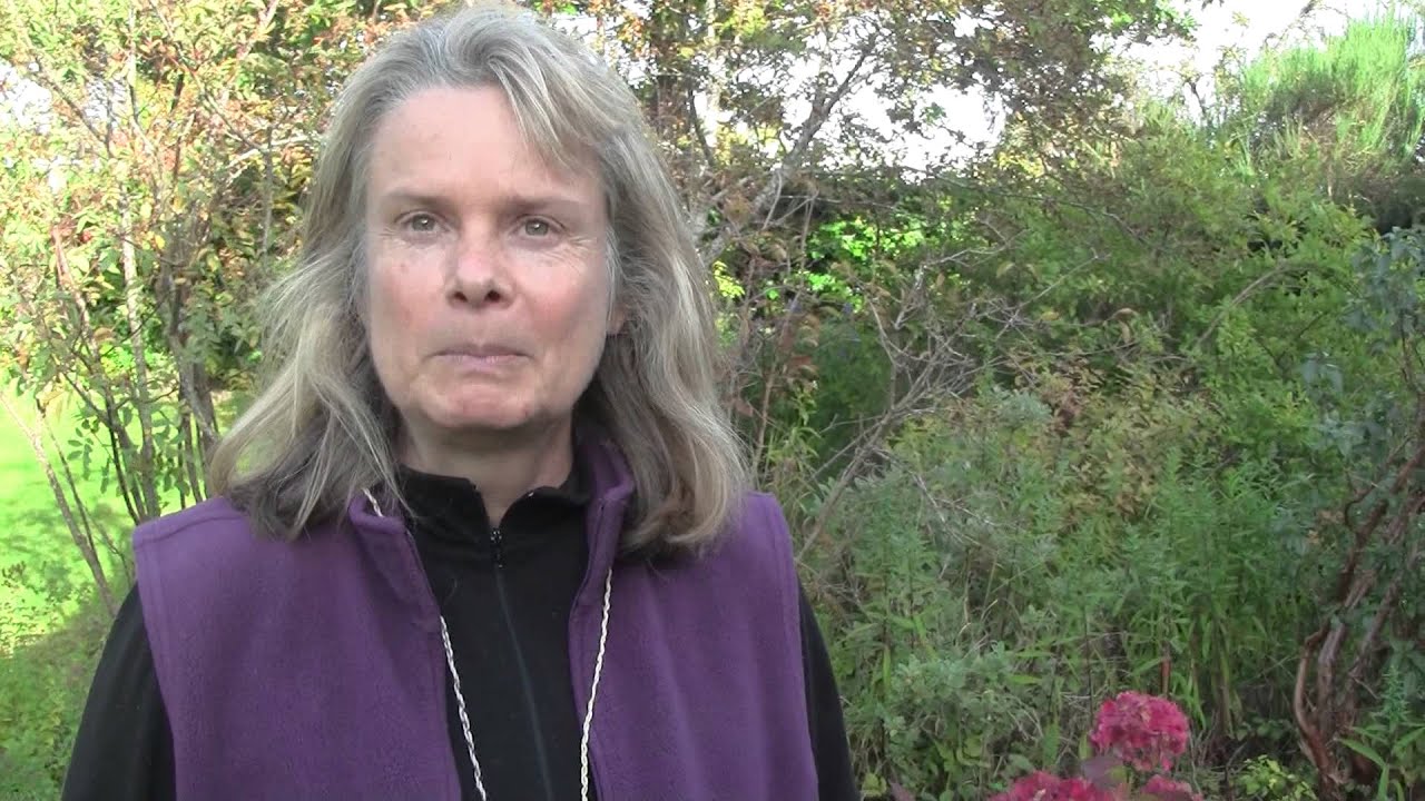 Flavors of the New Story Summit: Ann Amberg - YouTube