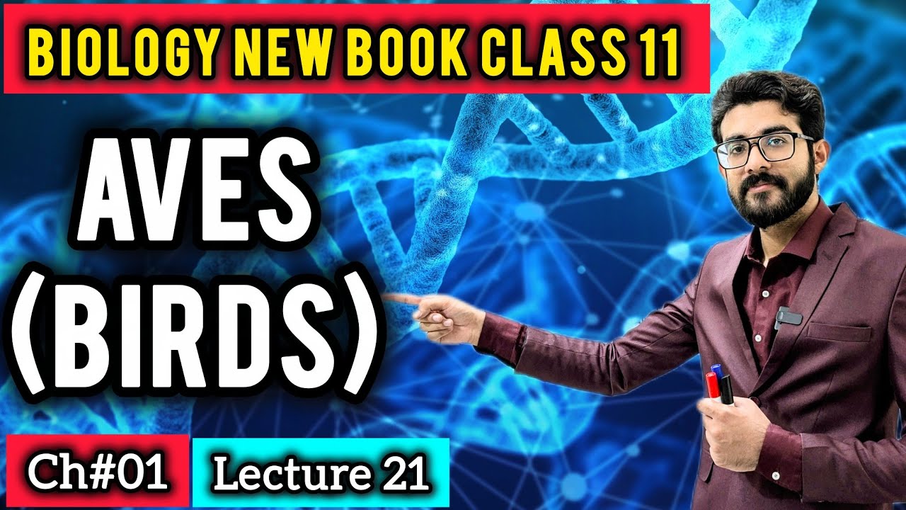 Understanding Class Aves (Birds) : Key Characteristics For Class 11 ...