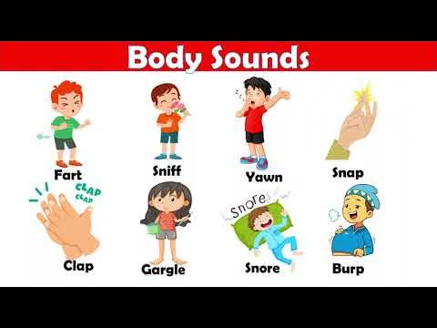 Body Sounds in English| Vocabulary | Fart ,Burp, Sniff, Whisper, Yawn ...