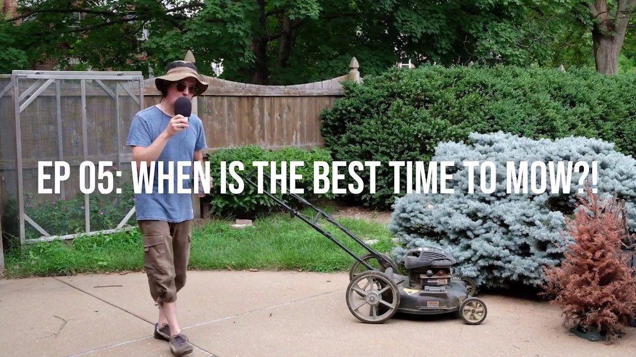 When is the Best Time to Mow?! - YouTube