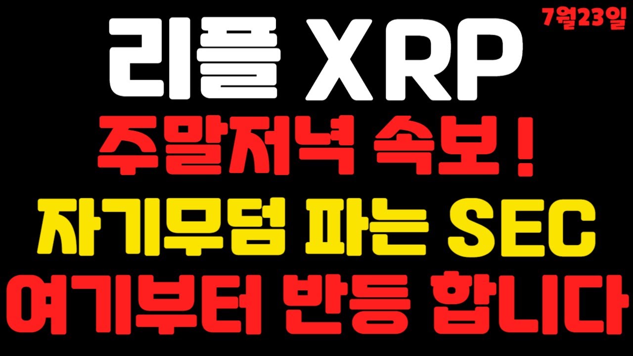 리플코인 주말저녁 속보 자기무덤 파는 Sec 여기부터 반등 합니다 불독코인비트코인리플이더리움도지코인코인단타