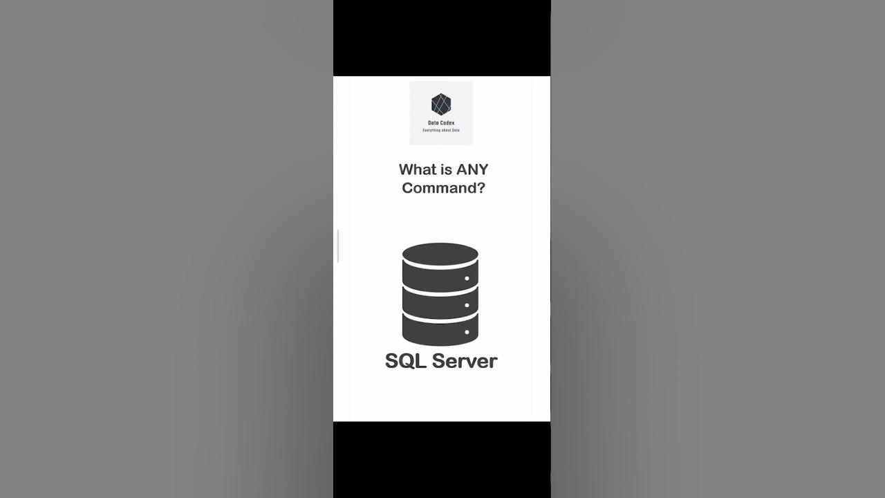 Any Command Sql Server Datacodex Sqlserver Sqlforbeginners Shorts Youtube