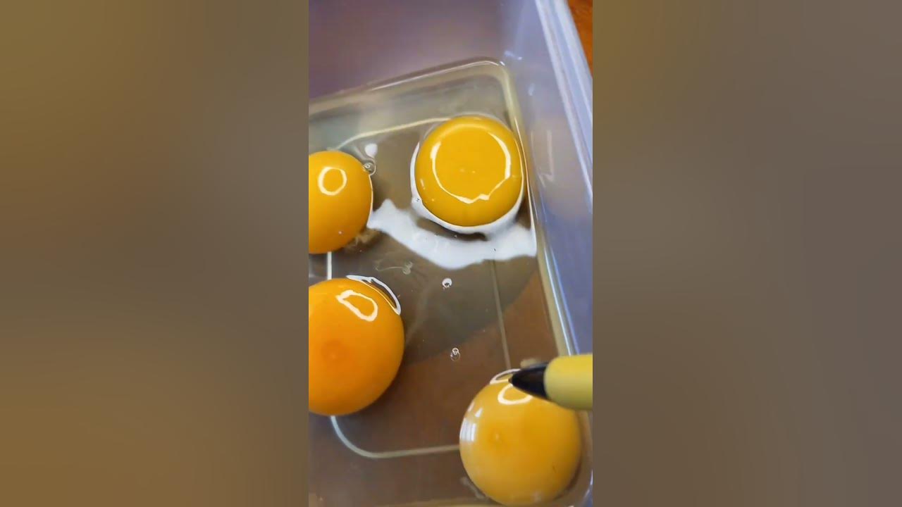 Fertilised Vs Unfertilised how To Incubate Chicken Eggs Available fertilised-vs-unfertilised-how-to-incubate-chicken-eggs-available