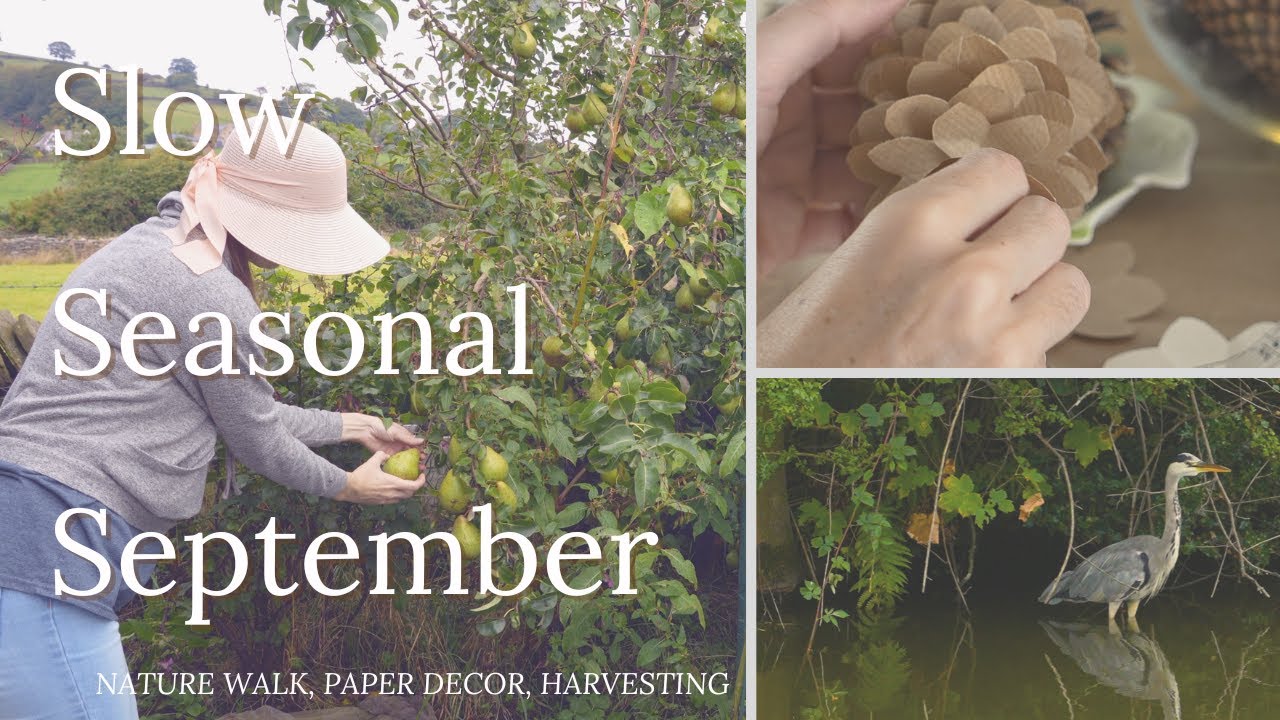 Slow Seasonal September | Nature Walk | Paper decor | Harvesting - YouTube