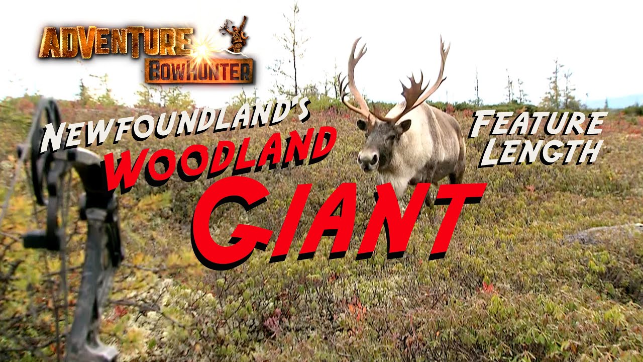 Woodland Giant- Caribou Called into Ten Yards!! - YouTube