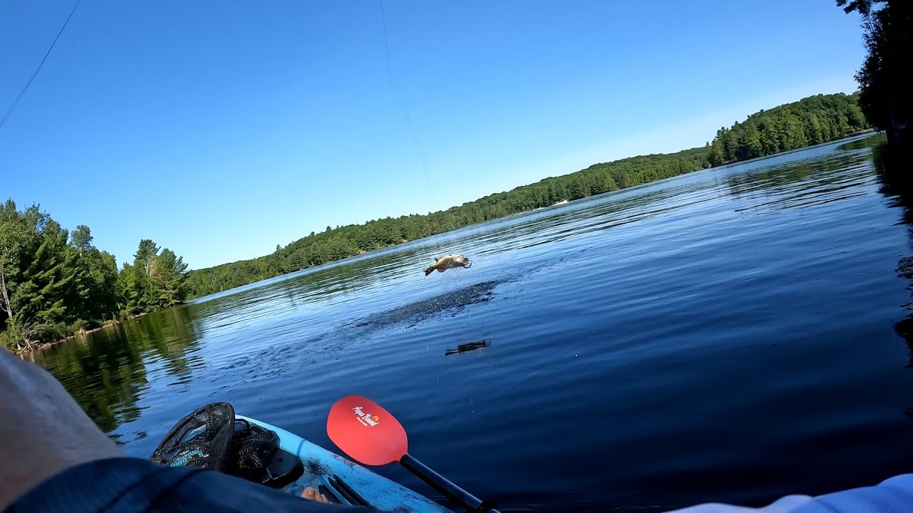 LITTLE BOB LAKE - YouTube