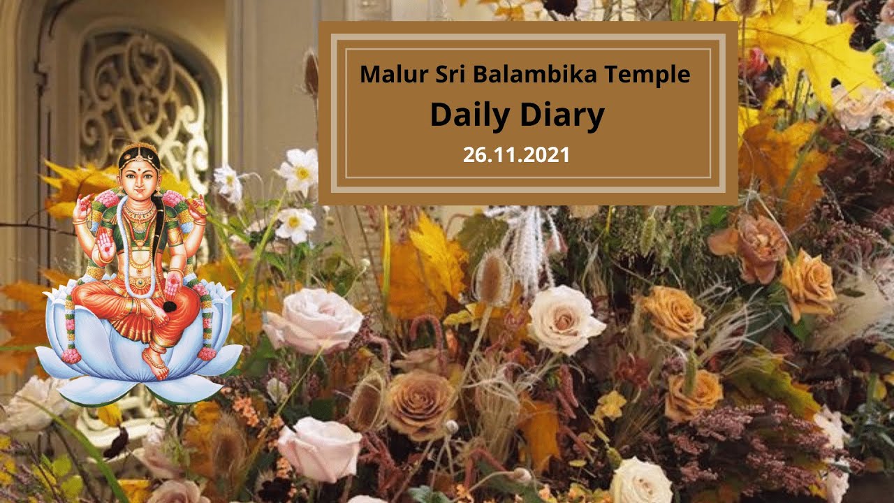 Daily Diary / 26 11 2021 / Malur Sri Balambika Temple - YouTube