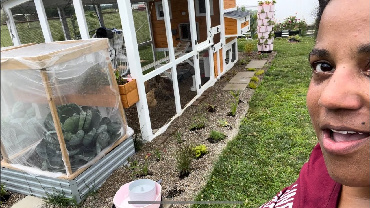 Expanding the cottage garden around my backyard chicken coop - YouTube
