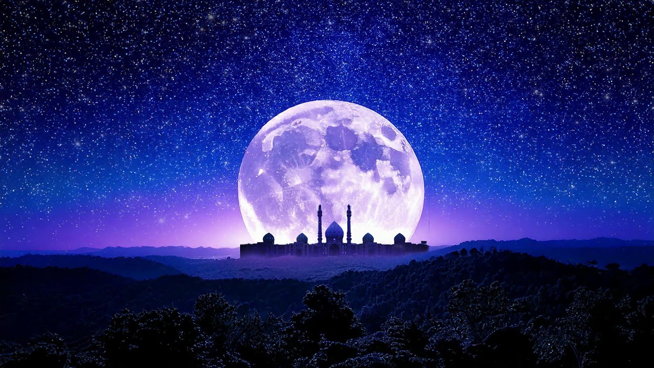 Seniors Programme - Sheikh Abbas Ismail - Wednesday - 19/02/2025 - YouTube