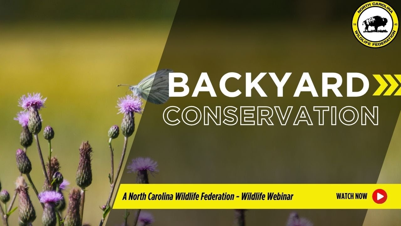 Backyard Conservation - North Carolina Wildlife Federation - YouTube