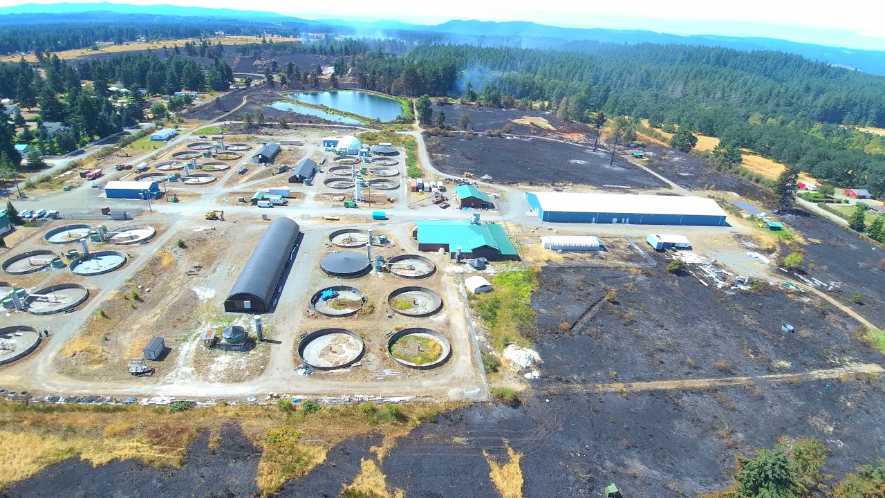 Scatter Creek fire retardant drop area - YouTube