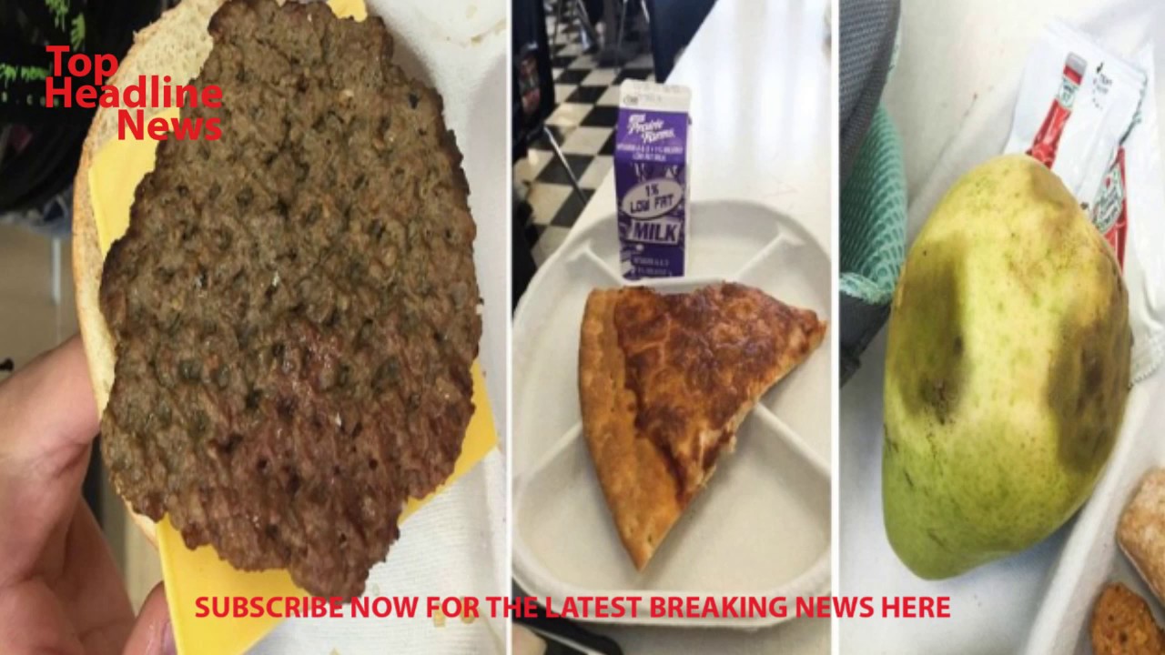 JUST IN: Michelle Obama’s School Lunch Program Gets Stunning News From ...