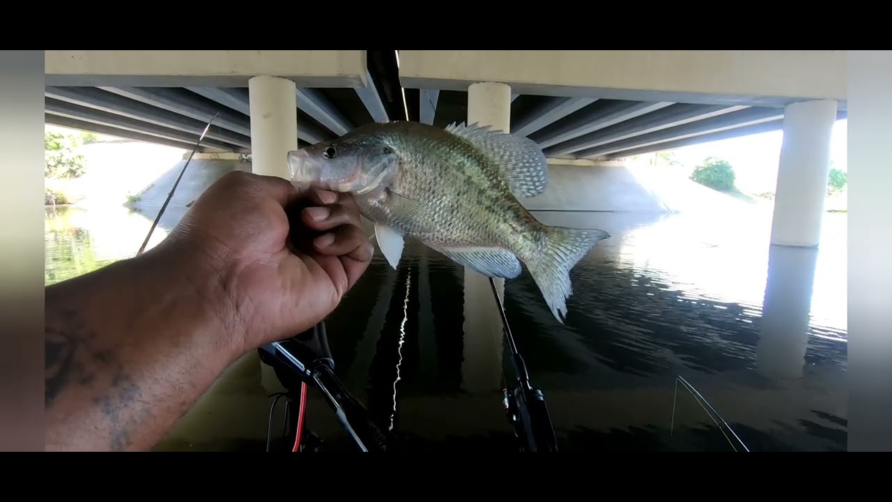Bridge Pillars Fishing The Famous Irving Canal System! - YouTube