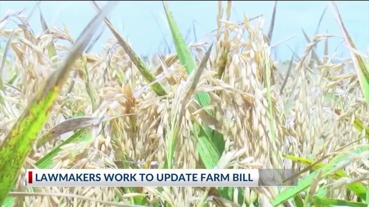 Lawmakers work to update farm bill - YouTube