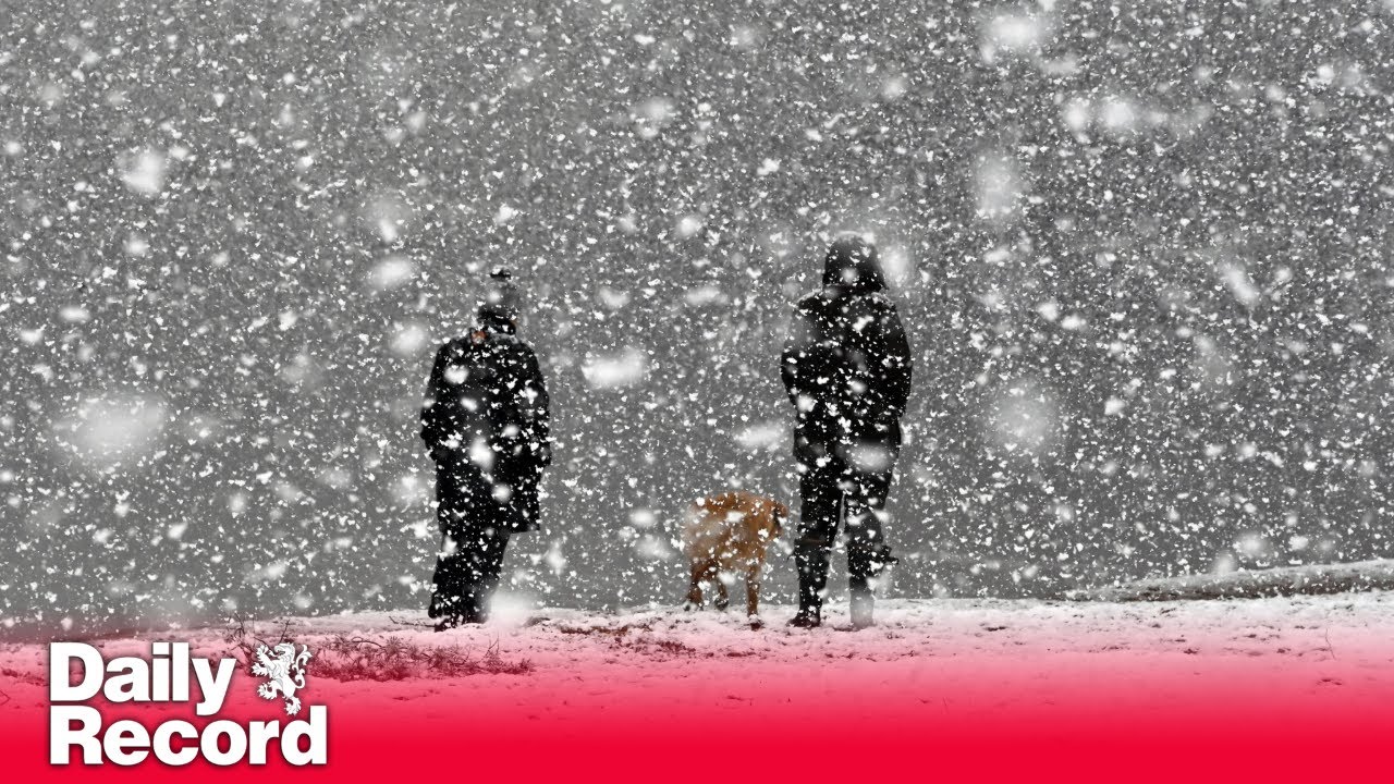 Scotland to see 20cm snow fall in 14 hours as Met Office issues fifth ...