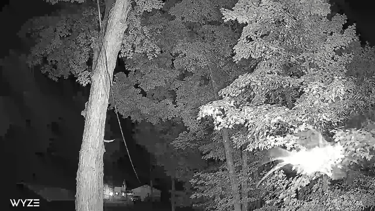 ROD REVEALS ANTENNA.1/8 speed raw footage of skyfish or rods in the ...