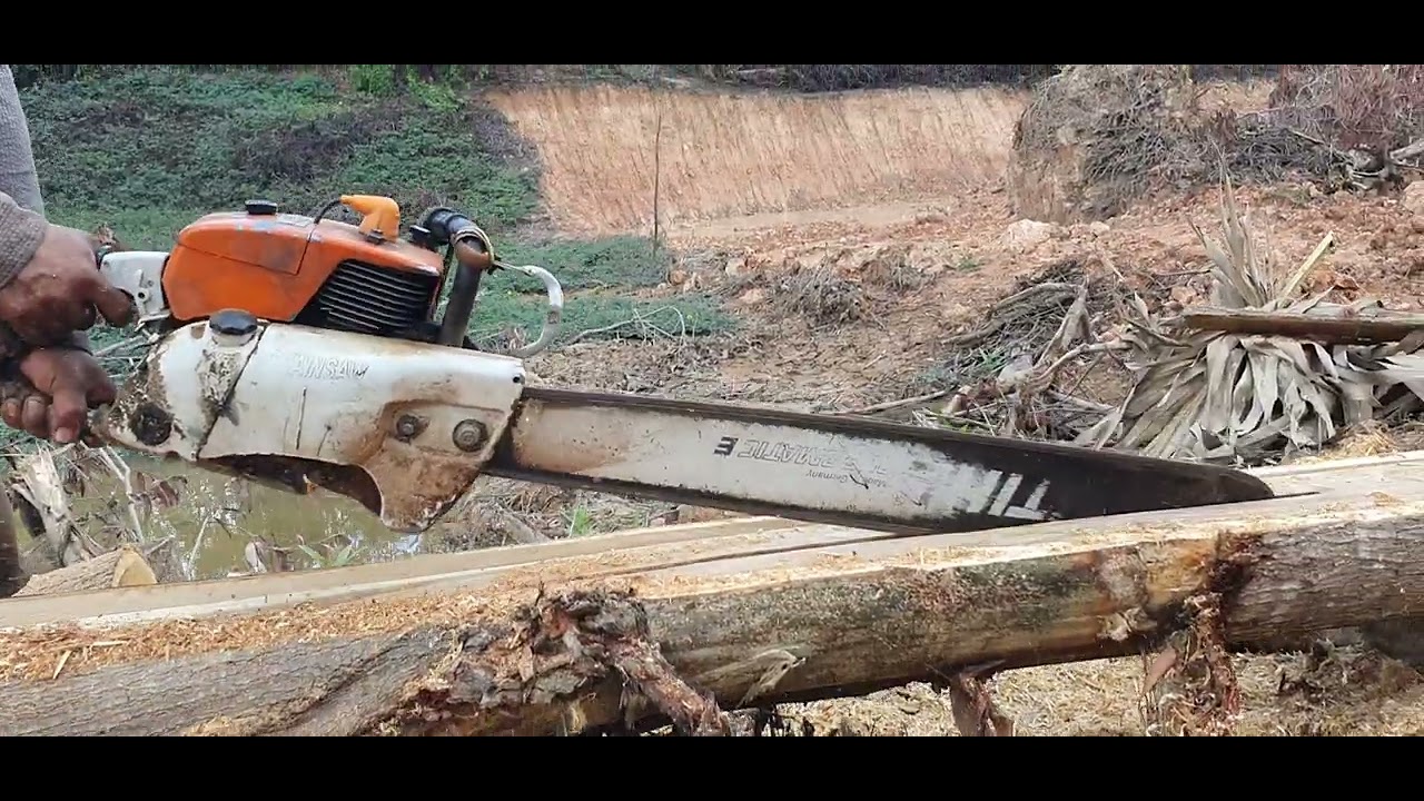 Wood Cutting Machine Stihl Chainsaw Sawing Eucalyptus Tree Wood#91 ...