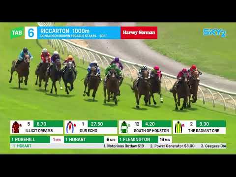 Pegasus Stakes 2024 - ILLICIT DREAMS (Hcp LR) Listed Riccarton Park NZ 9 November