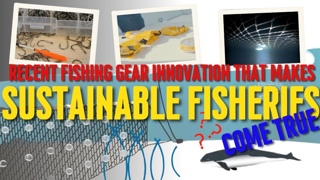 New Innovation in Fishing Gear: Why it creates, and What It Impacts for ...
