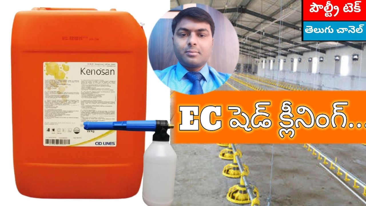 kenosan /CID LINES /ZUEVETS /పౌల్ట్రీ SHED CLEANING - YouTube