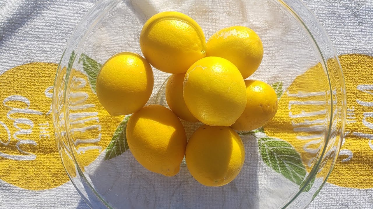 How to pick a lemon trial and error!🍋🍋🍋#plantlife #harvest - YouTube