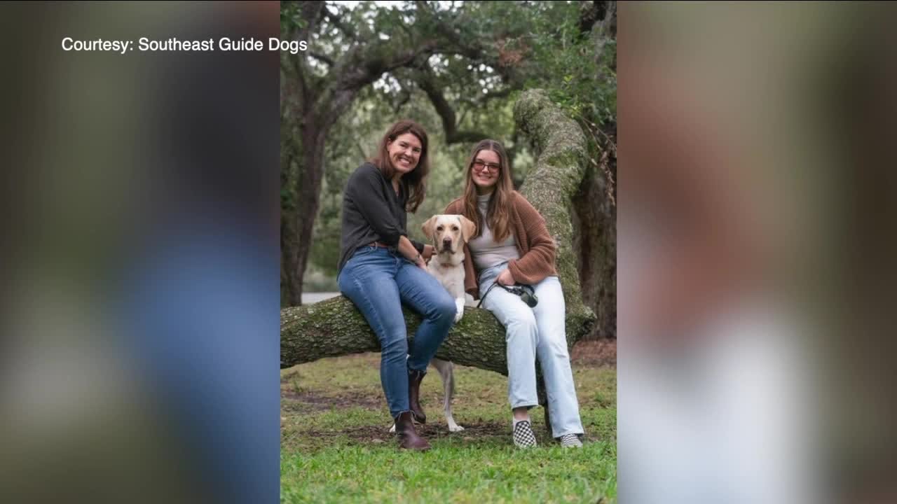 Southeastern Guide Dogs offer free dogs to Gold Star families - YouTube