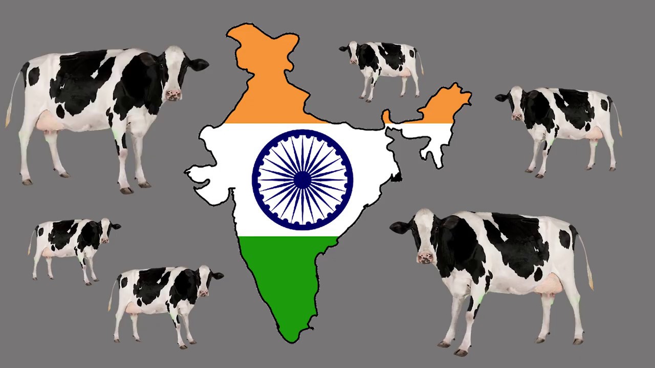 The 10 - Interesting facts about countries around the world - YouTube