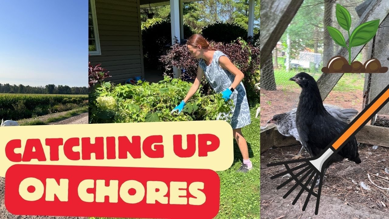 PRODUCTIVE DAY IN MY LIFE || Homesteading Outdoor Chores - YouTube