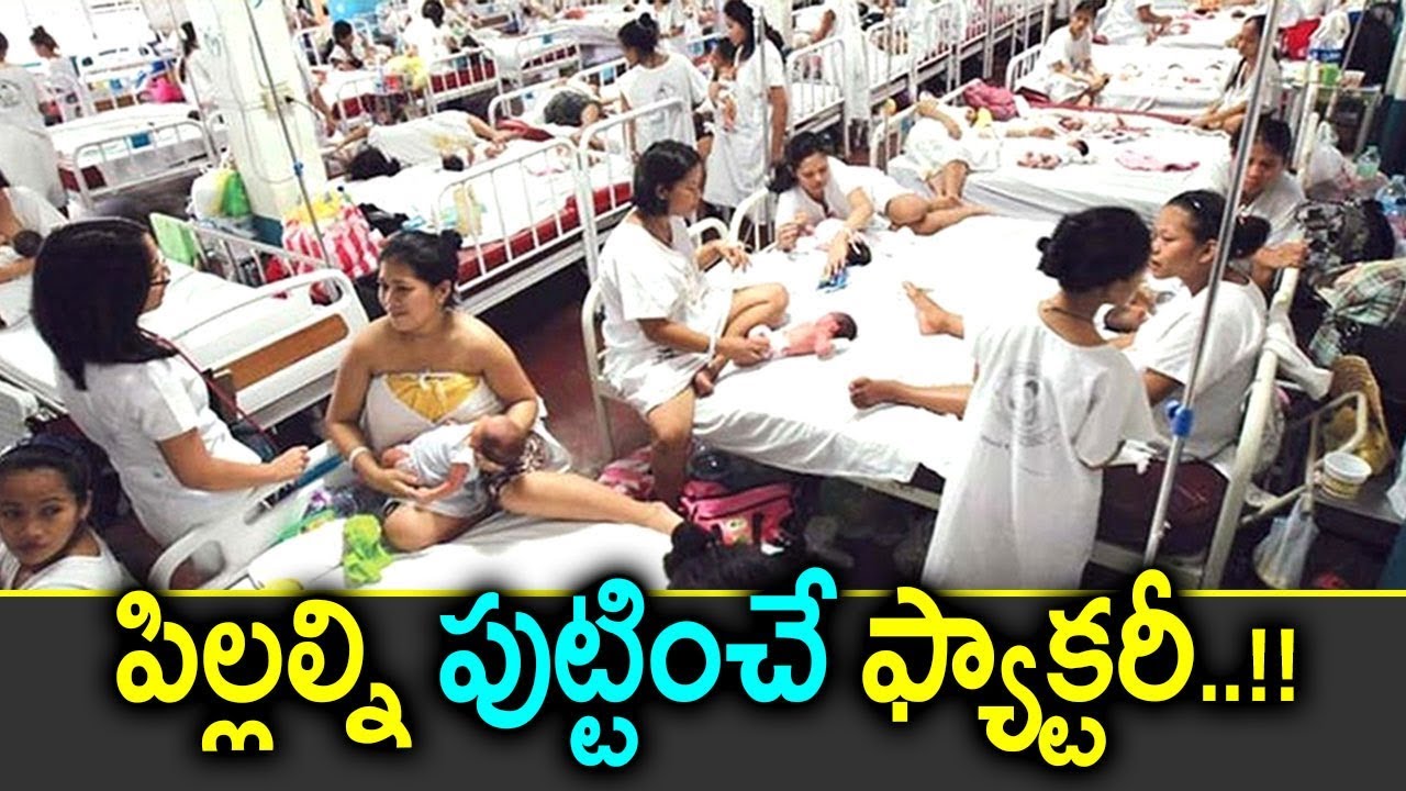 పిల్లల్ని పుట్టించే ఫ్యాక్టరీ.. ఎలా పుట్టిస్తారో తెలుసా..? || Unknown ...