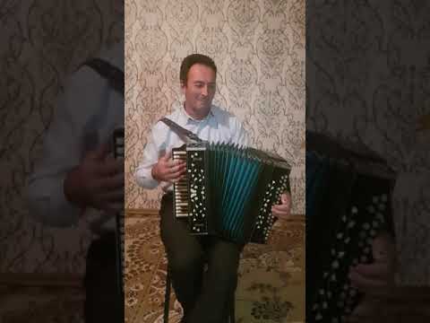 Yelmar Kəlbəcərli