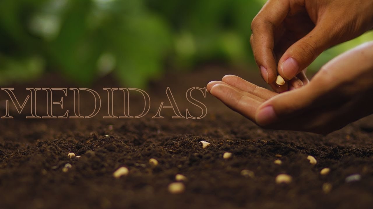 Medidas | Misionero Hno. Víctor Solano - YouTube