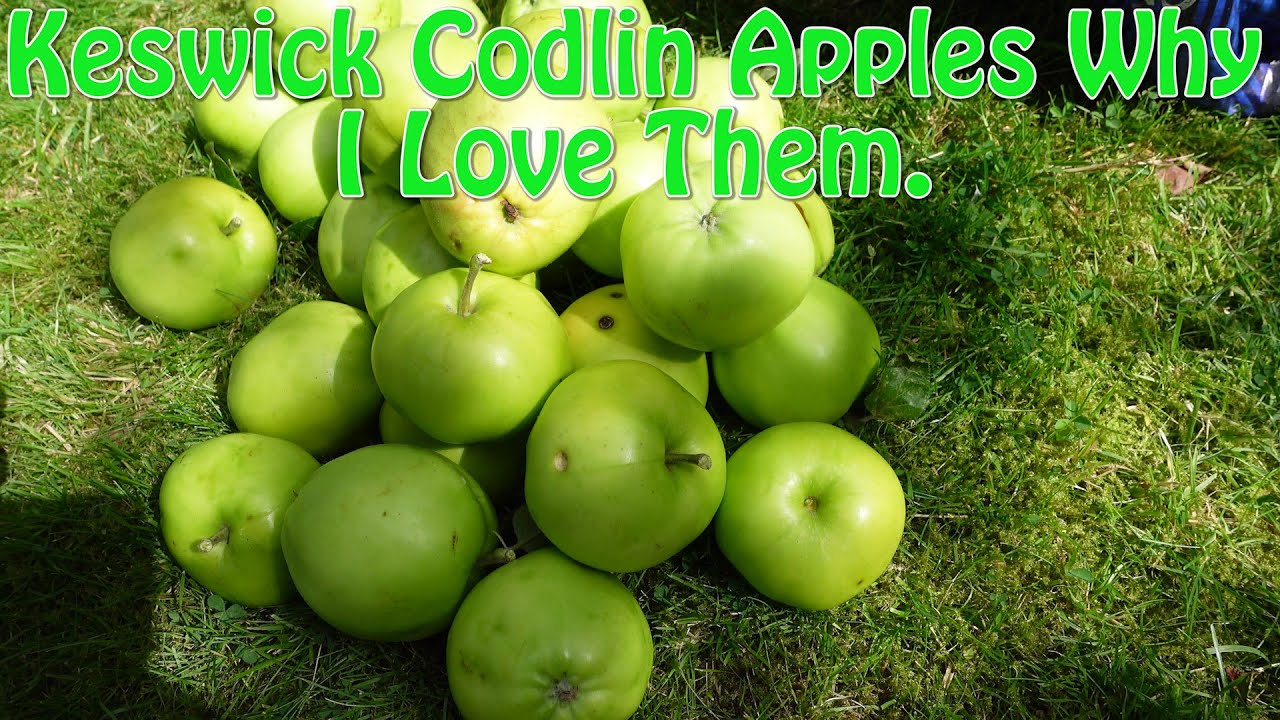 Keswick Codlin Apples! Why I Love Them. - YouTube