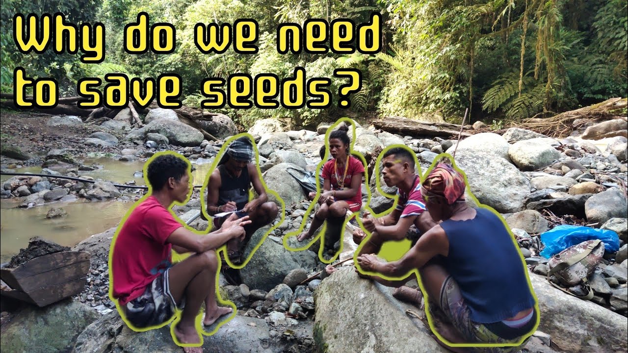 Why do we need to save seeds? Bukidnon Seed Stewards Project ...