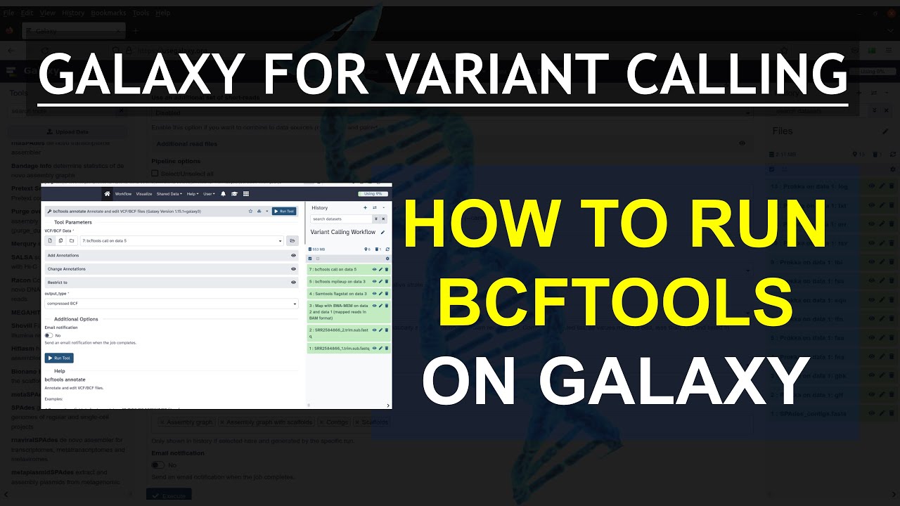 Galaxy Tutorial For Bioinformatics Variant Calling With Bcftools Youtube